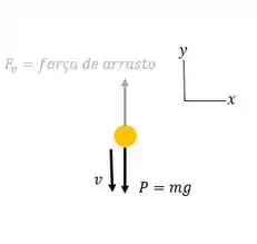 Uma bola de beisebol é atirada verticalmente para cima. A fo