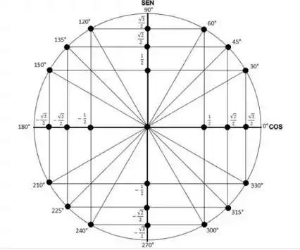 Localize os arcos no ciclo trigonométrico e coloque em ordem