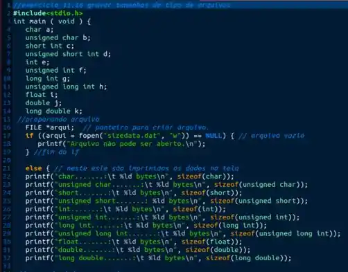 Gravação dos tamanhos de tipo em um arquivo. Escreva um prog