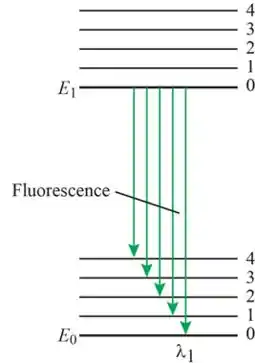 Explique por que a fluorescência molecular sempre ocorre a c