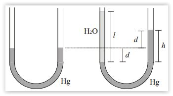Teorema de Stevin: Resumo, Fórmula e Exercícios Resolvidos