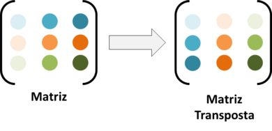 Introdução aos Vetores e as Matrizes | Responde Aí