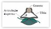 Força de Tração: Como Calcular, Fórmulas, Exemplos e Mais!
