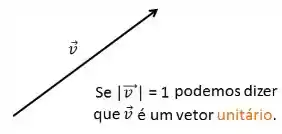 Introdução aos Vetores e as Matrizes | Responde Aí